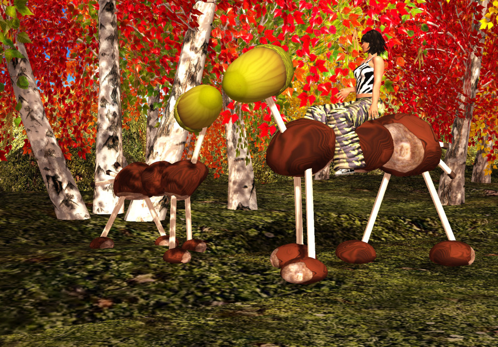 Silver Birch trees for all seasons – 21strom – World is Colorful